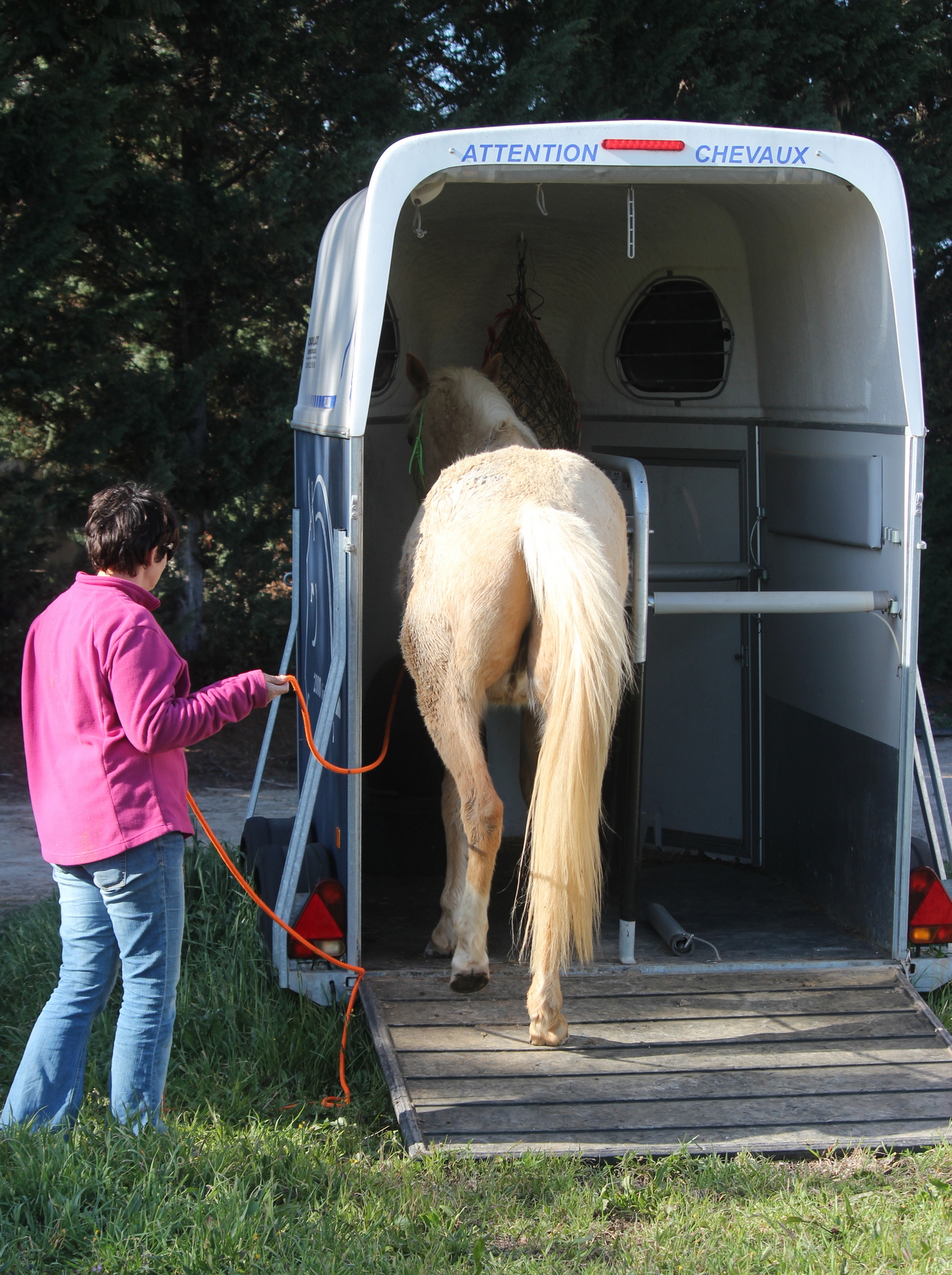Education ou dressage, quelles différences ? - Juste avec mon cheval